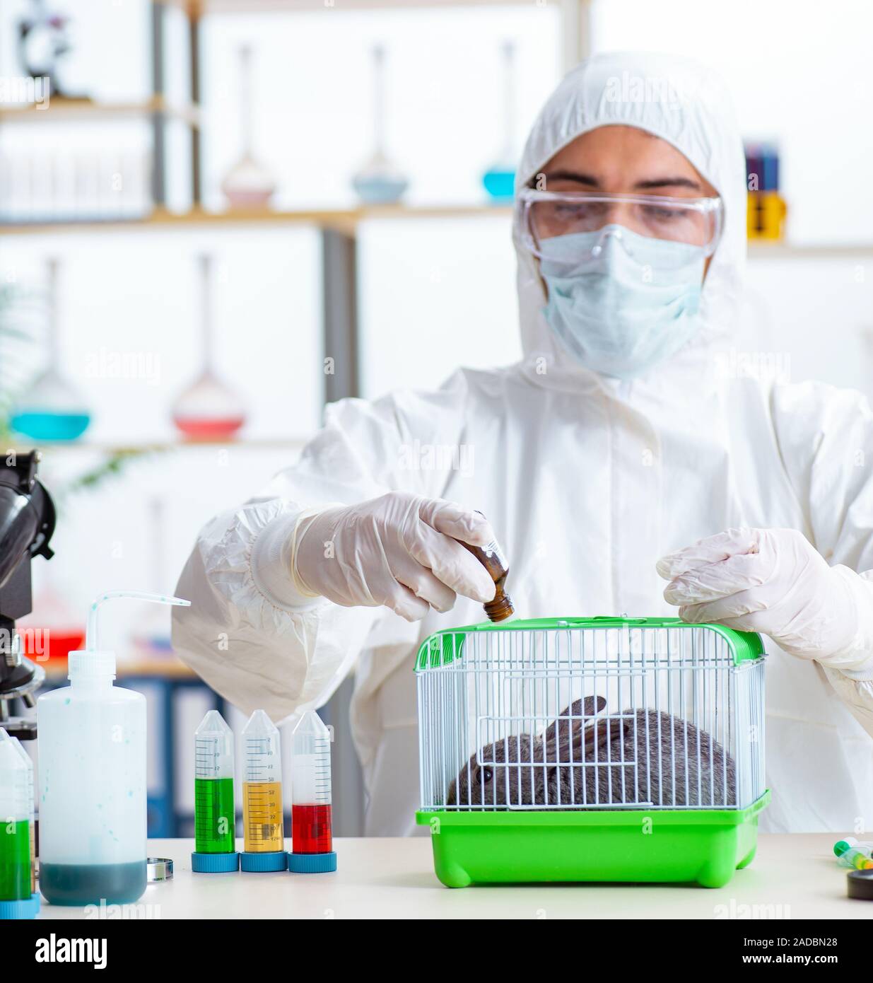 Lab testing animals hi-res stock photography and images - Alamy