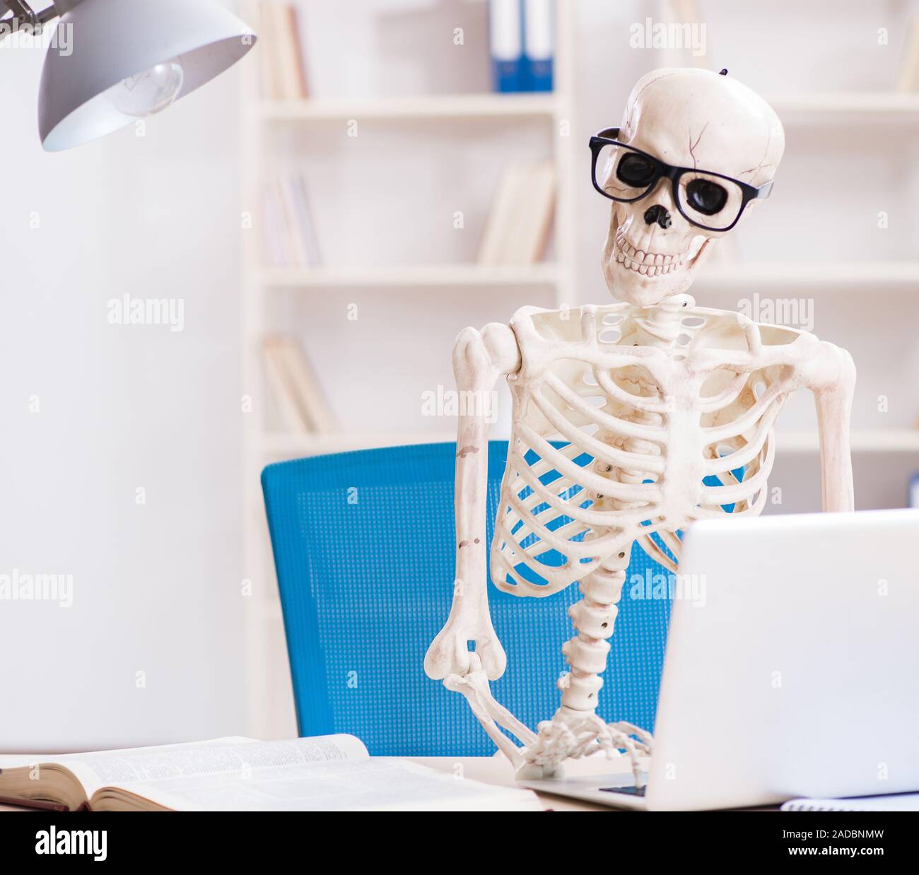 Human skeleton sitting with laptop computer hi-res stock photography ...