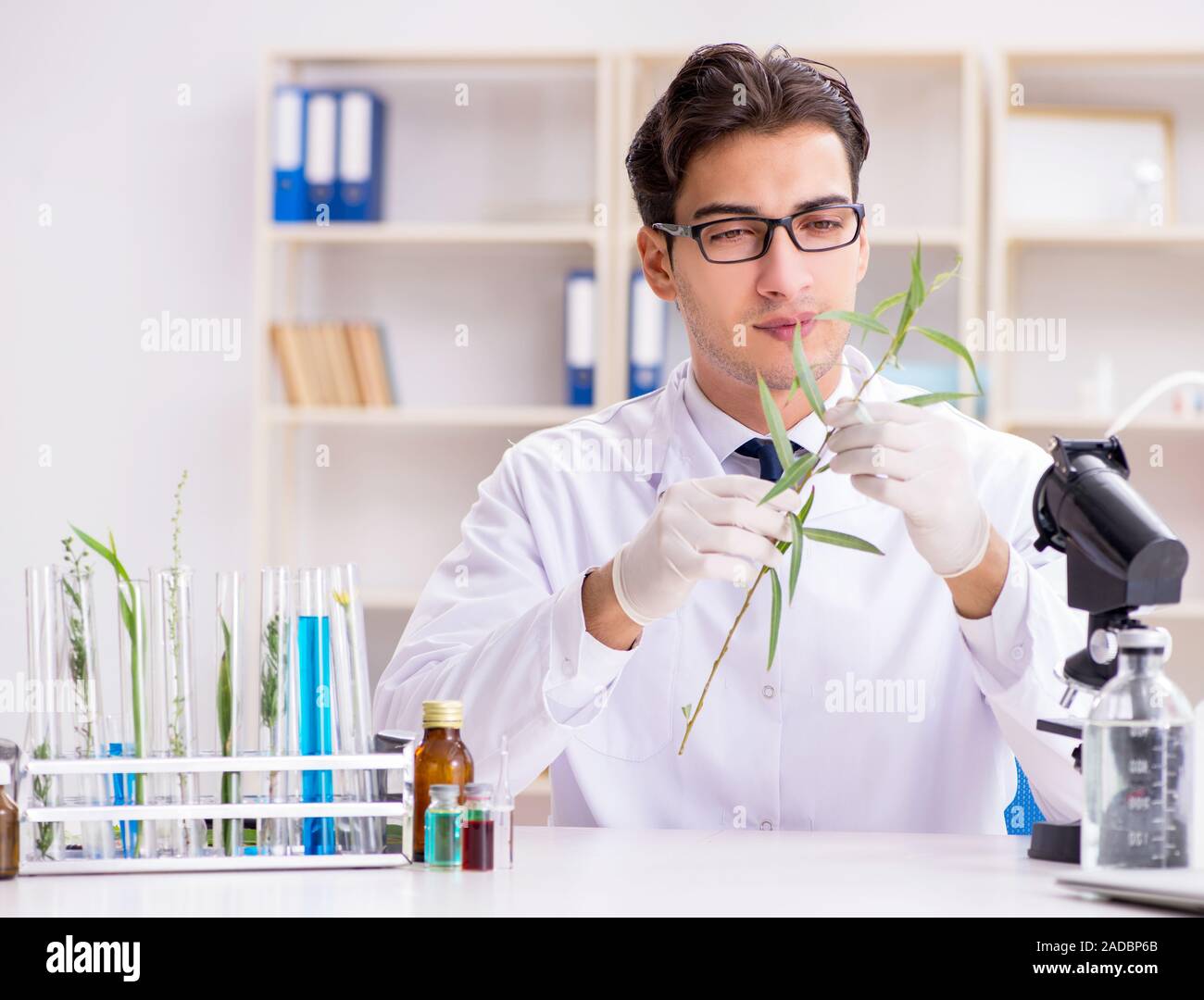 The biotechnology scientist chemist working in lab Stock Photo - Alamy