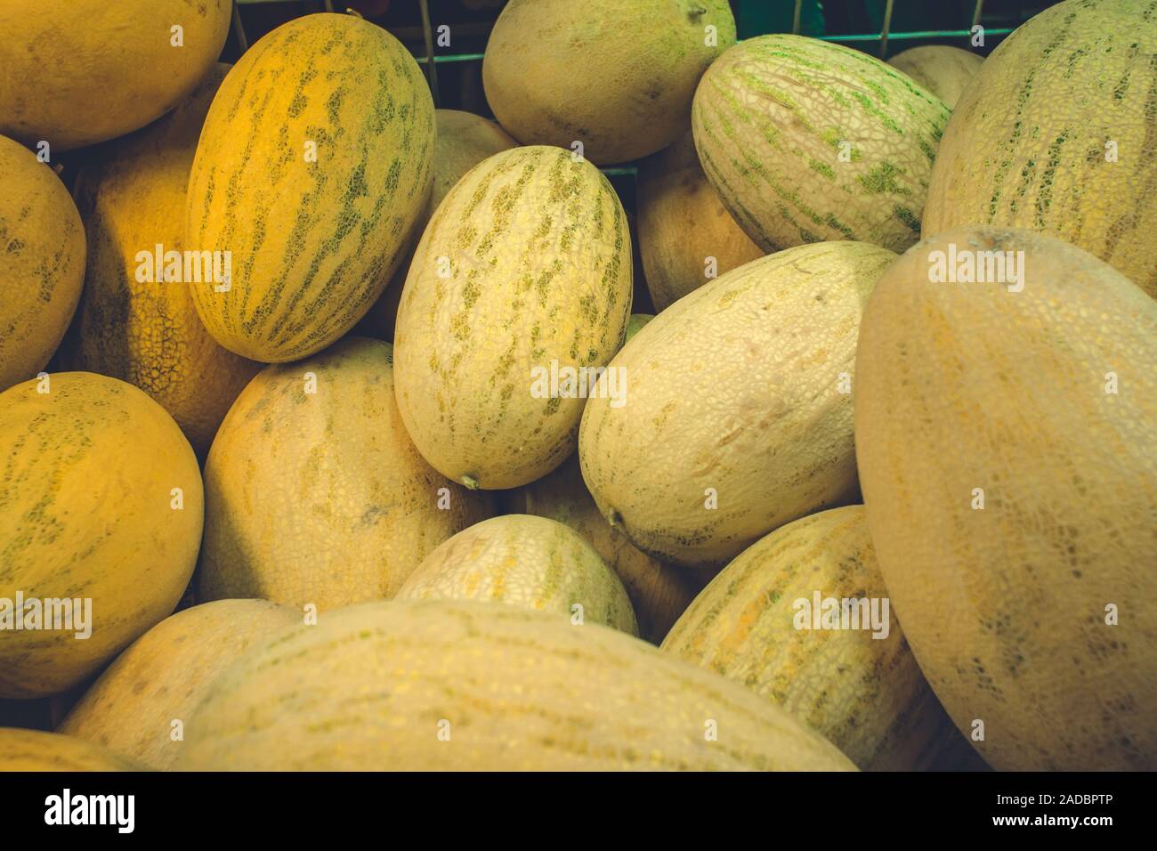 yellow melons closeup background. Sale of fruit on the counter of the ...