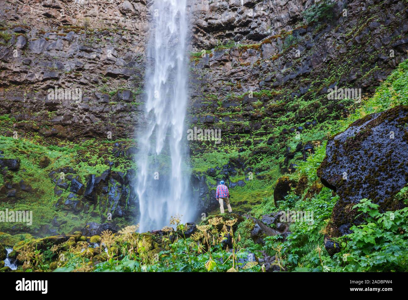 Waterfall in Oregon Stock Photo - Alamy