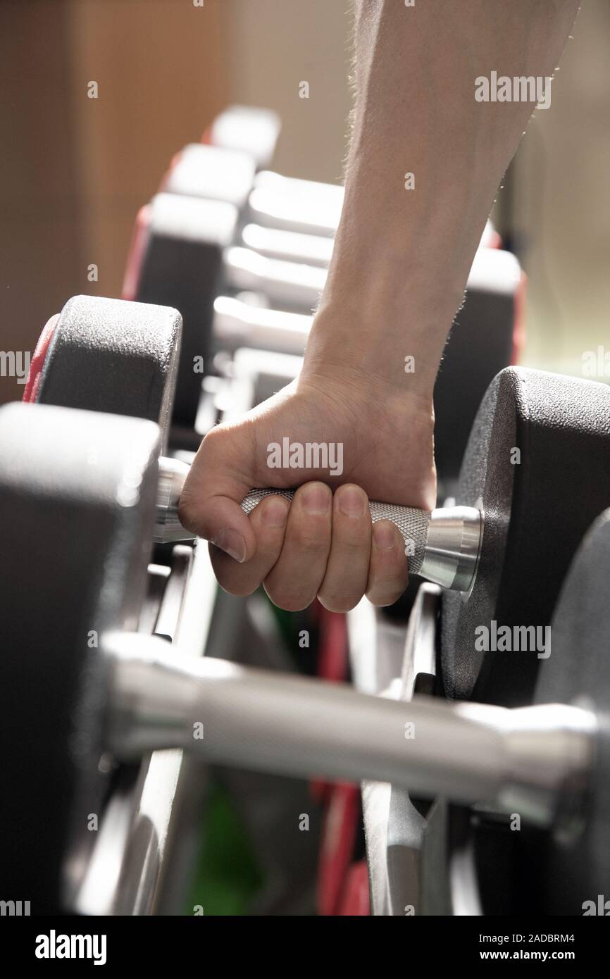 The gym dumbbell Stock Photo - Alamy