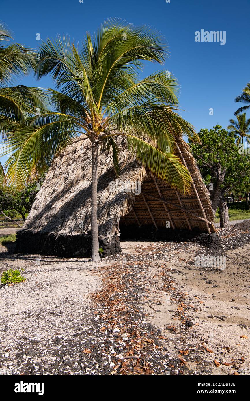 Thatched island shelter with palm trees and blue skies Maui, Hawaii ...