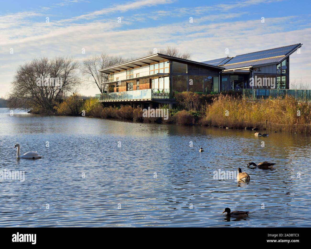 Attenborough nature reserve hi-res stock photography and images - Alamy
