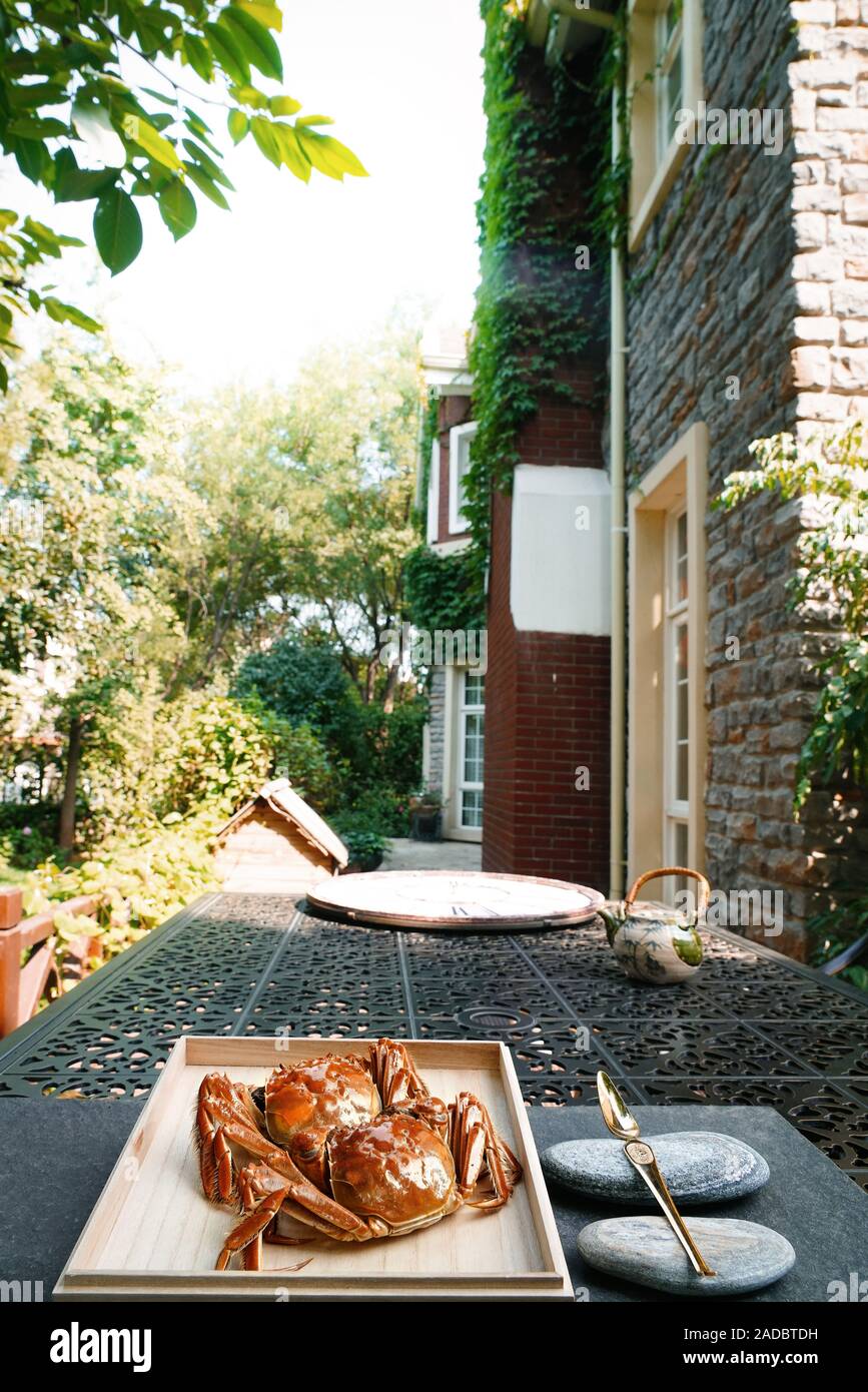 Shell back crab hi-res stock photography and images - Alamy