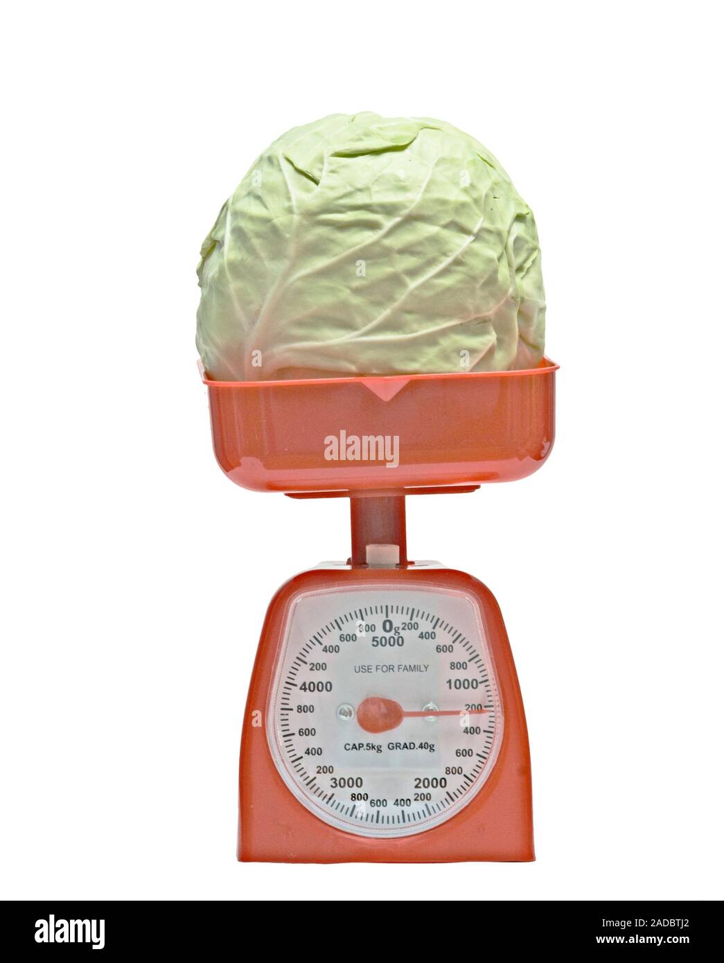 Kitchen scale weighting cabbage Stock Photo - Alamy