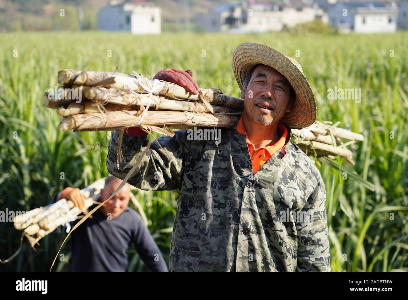 Ankang, China's Shaanxi Province. 3rd Dec, 2019. Farmers work in the ...