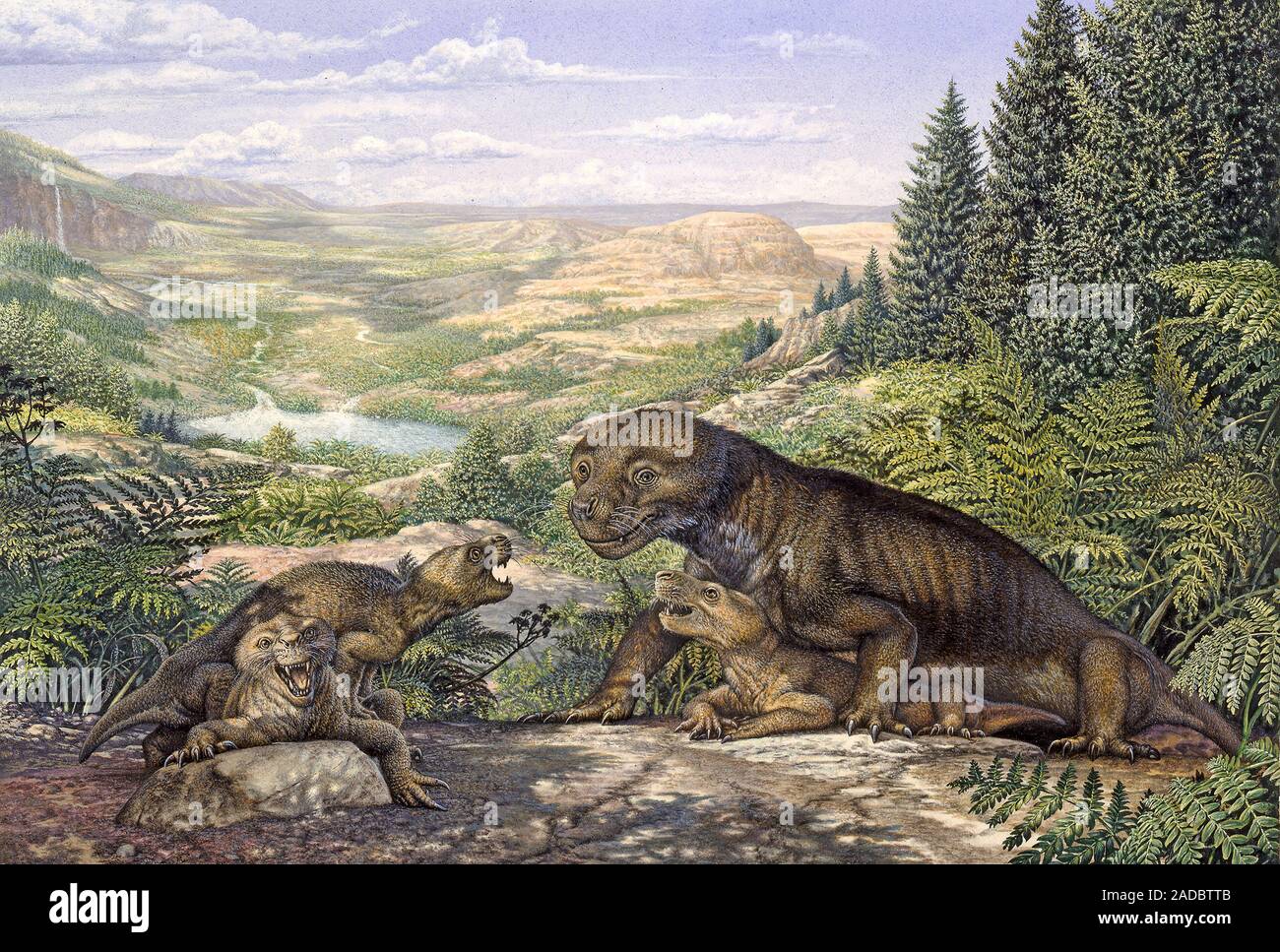Thrinaxodon cynodont and pups, illustration. Thrinaxodon was a small ...