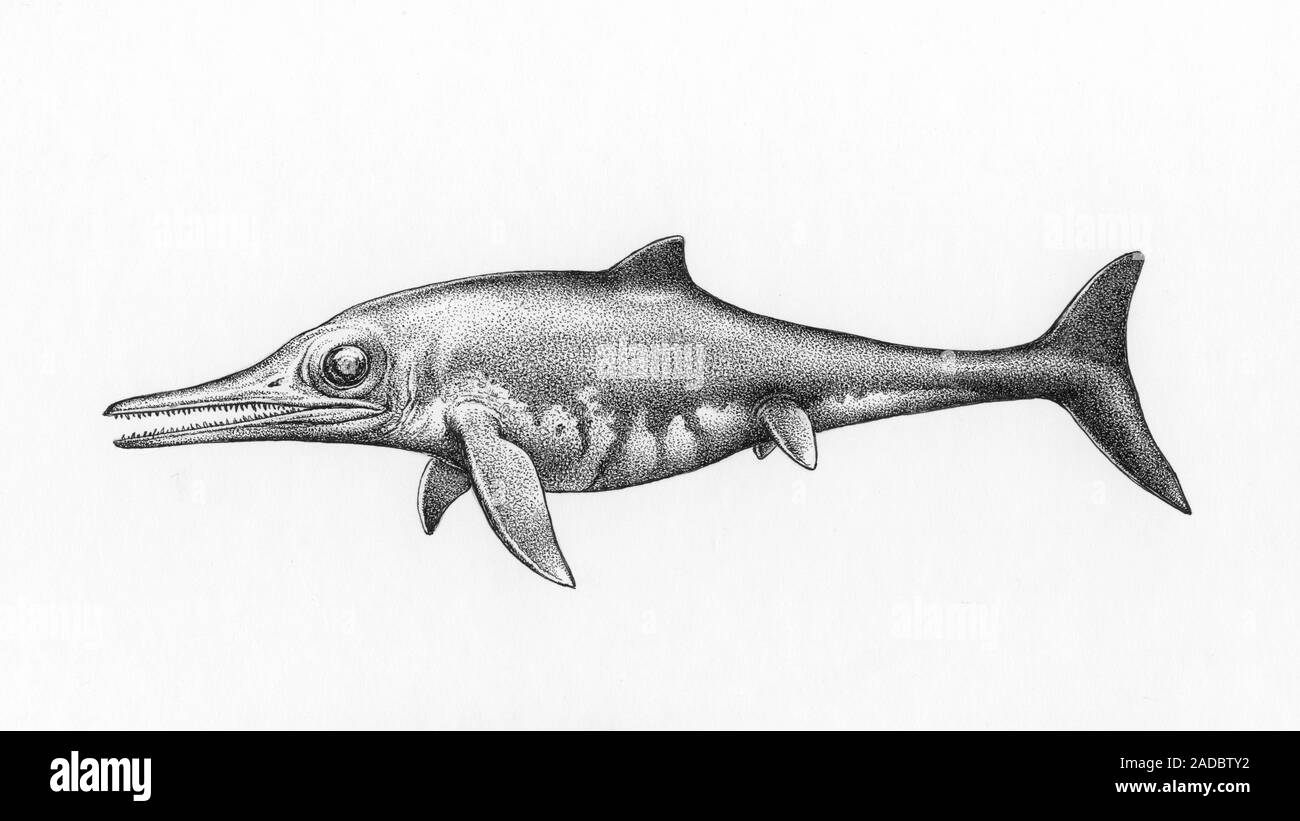 Ichthyosaurs