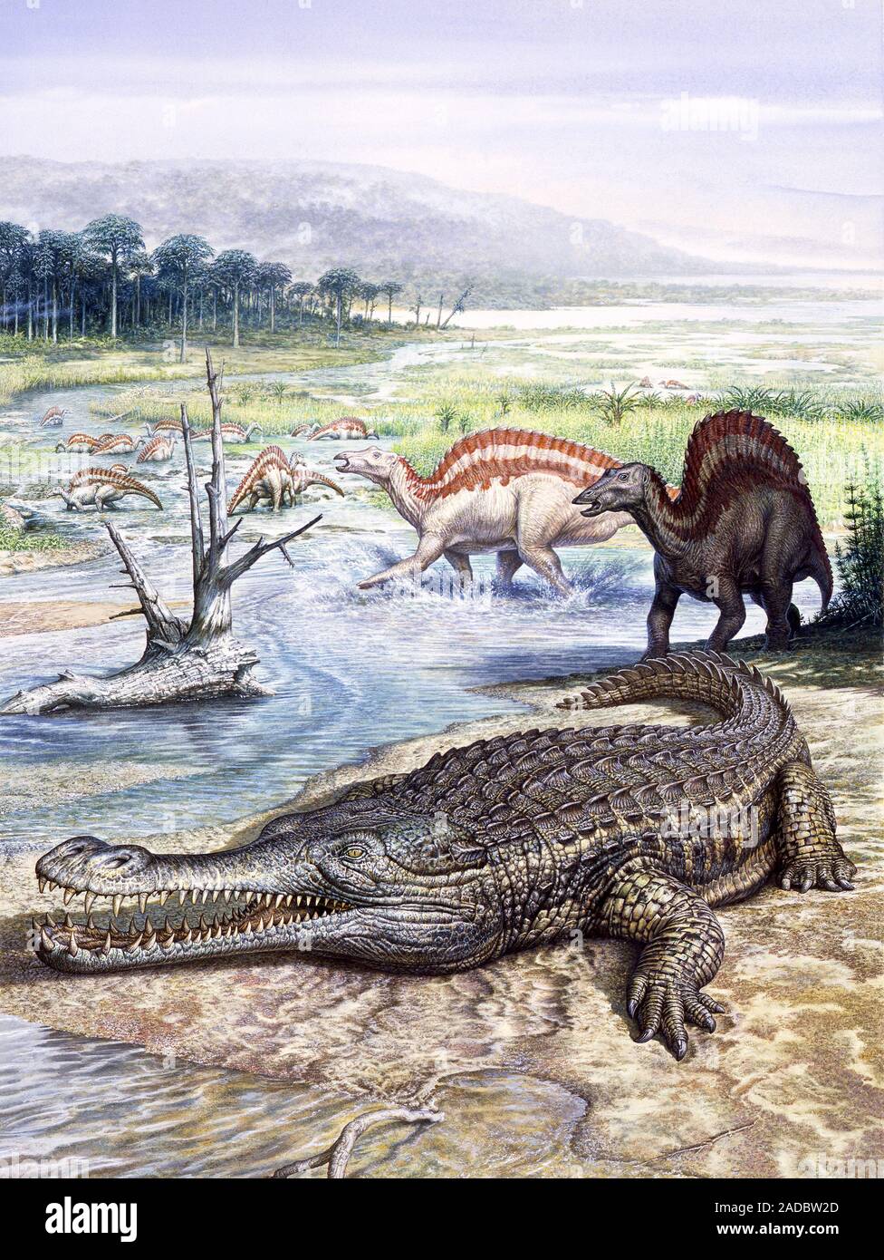Walking With Dinosaurs Sarcosuchus