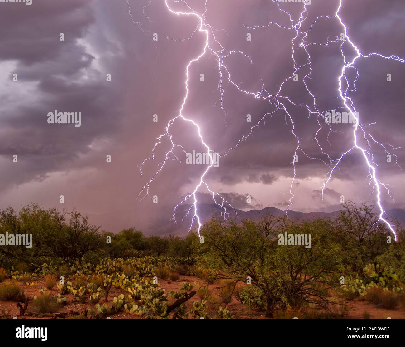 Close lightning strikes. Time-exposure image of lightning strikes ...