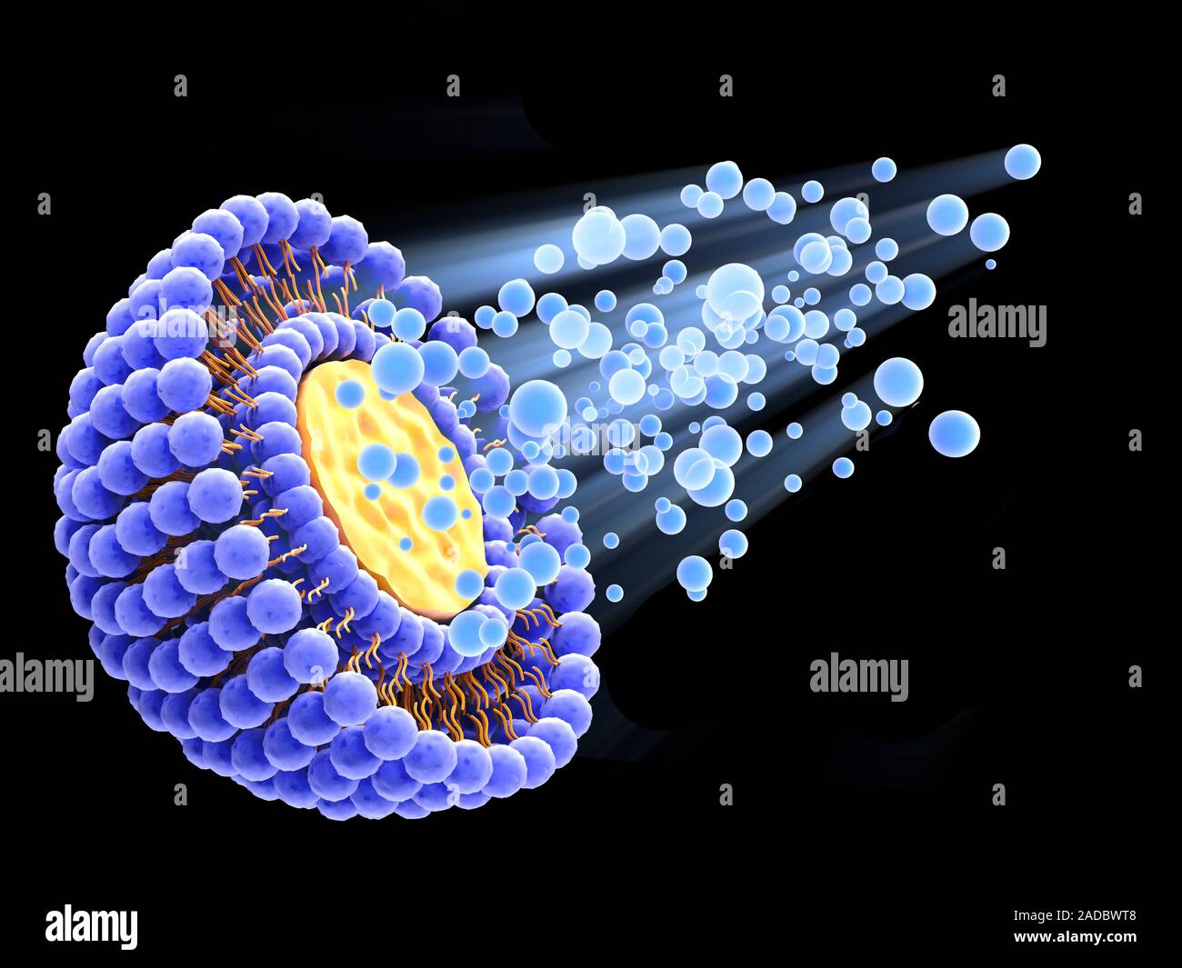 Drug delivering liposome, computer artwork. This artificially ...