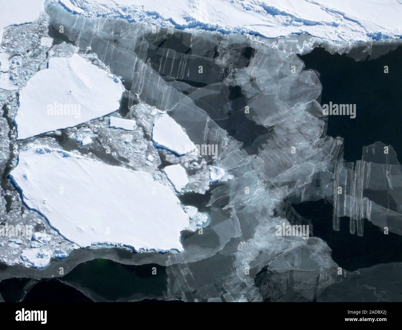 New and old sea ice, Antarctica, aerial photograph, The newer sea ice ...