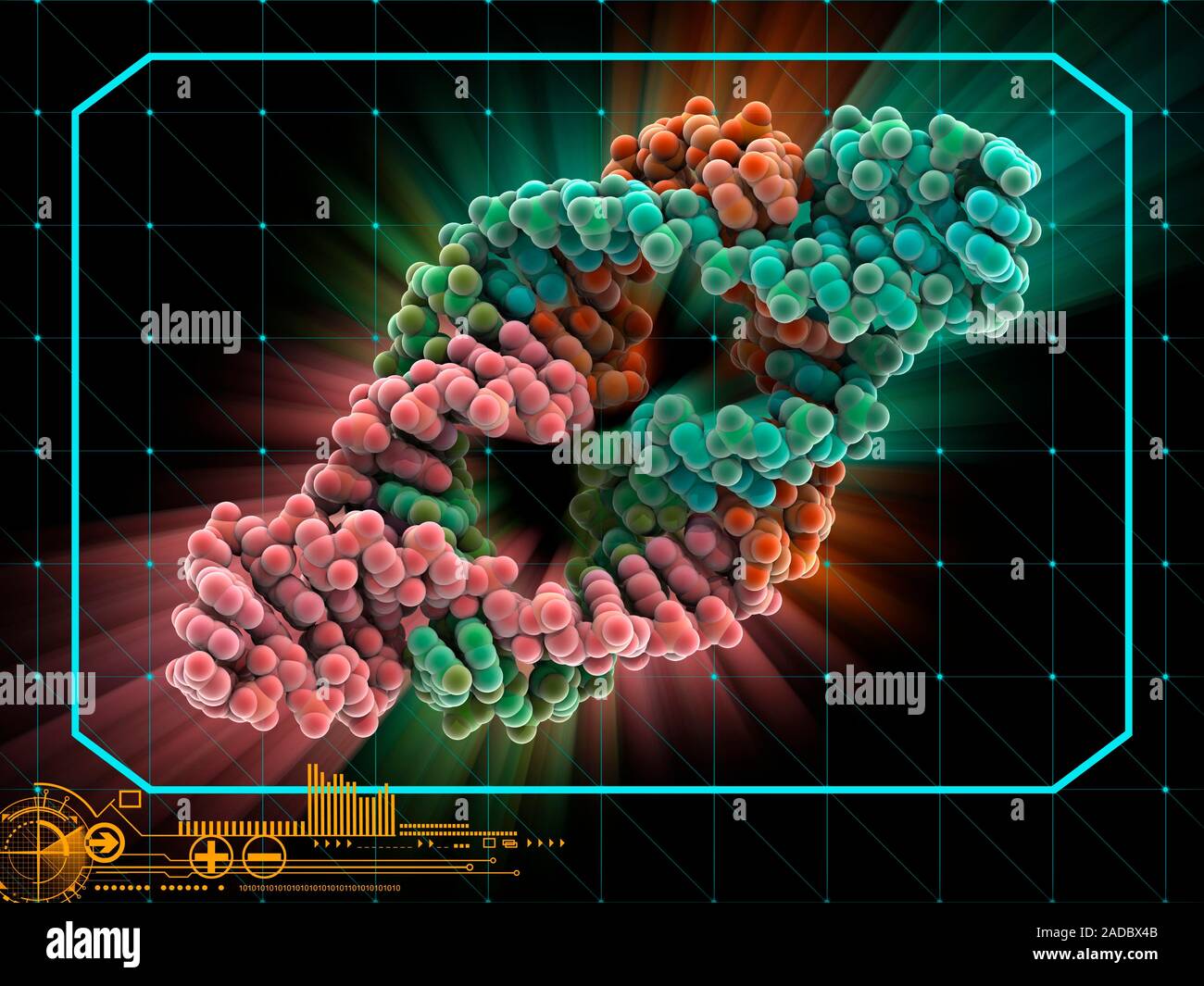 Molecular model of an all-RNA hammerhead ribozyme. Ribozymes are RNA ...