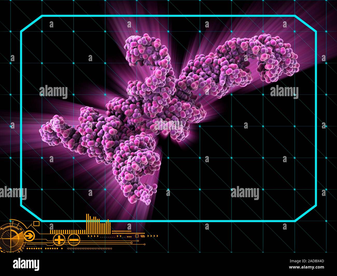 Molecular model of HIV-1 RNA (ribonucleic acid) packaging. Shown is the ...