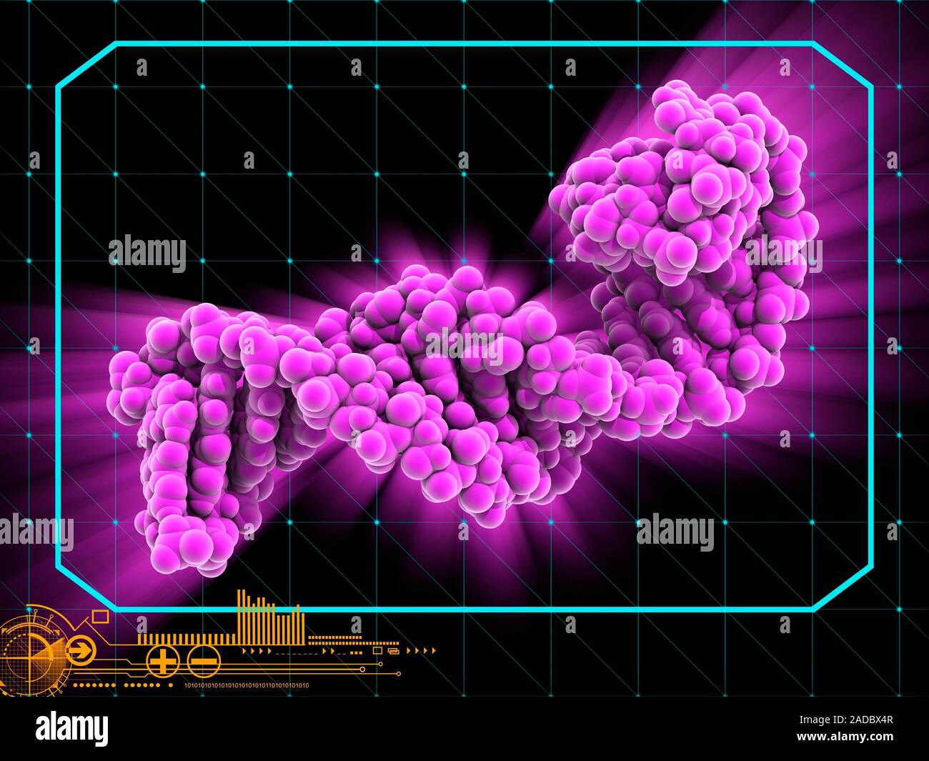 Molecular model of the helix H1 of a human noncoding RNA (ribonucleic ...