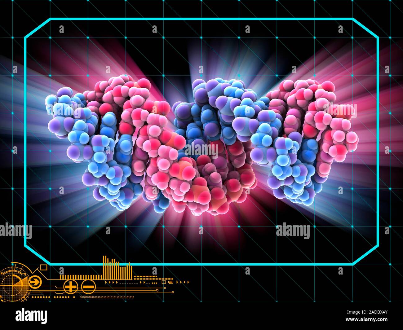 Double-stranded RNA (ribonucleic acid) molecule, molecular model. The ...