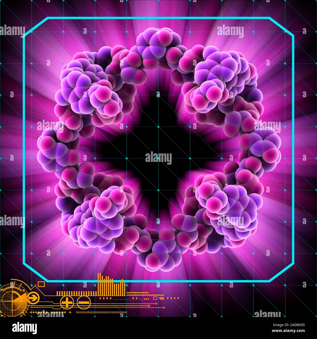 Molecular model showing the ring structure of the Ebola virus RNA ...
