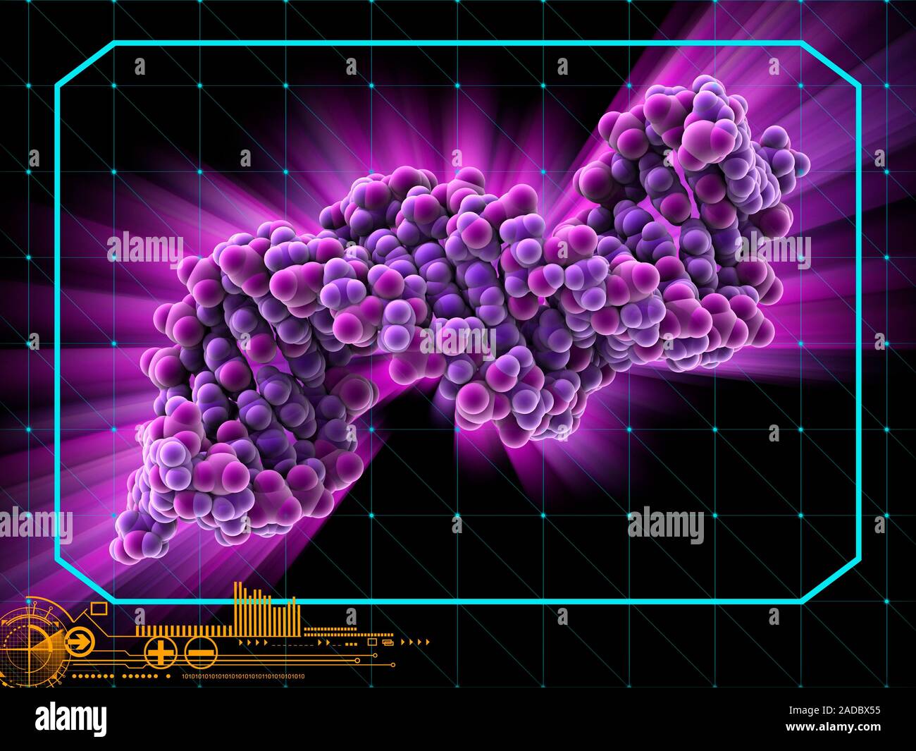 Molecular model of a silencing RNA (ribonucleic acid) from a tomato ...