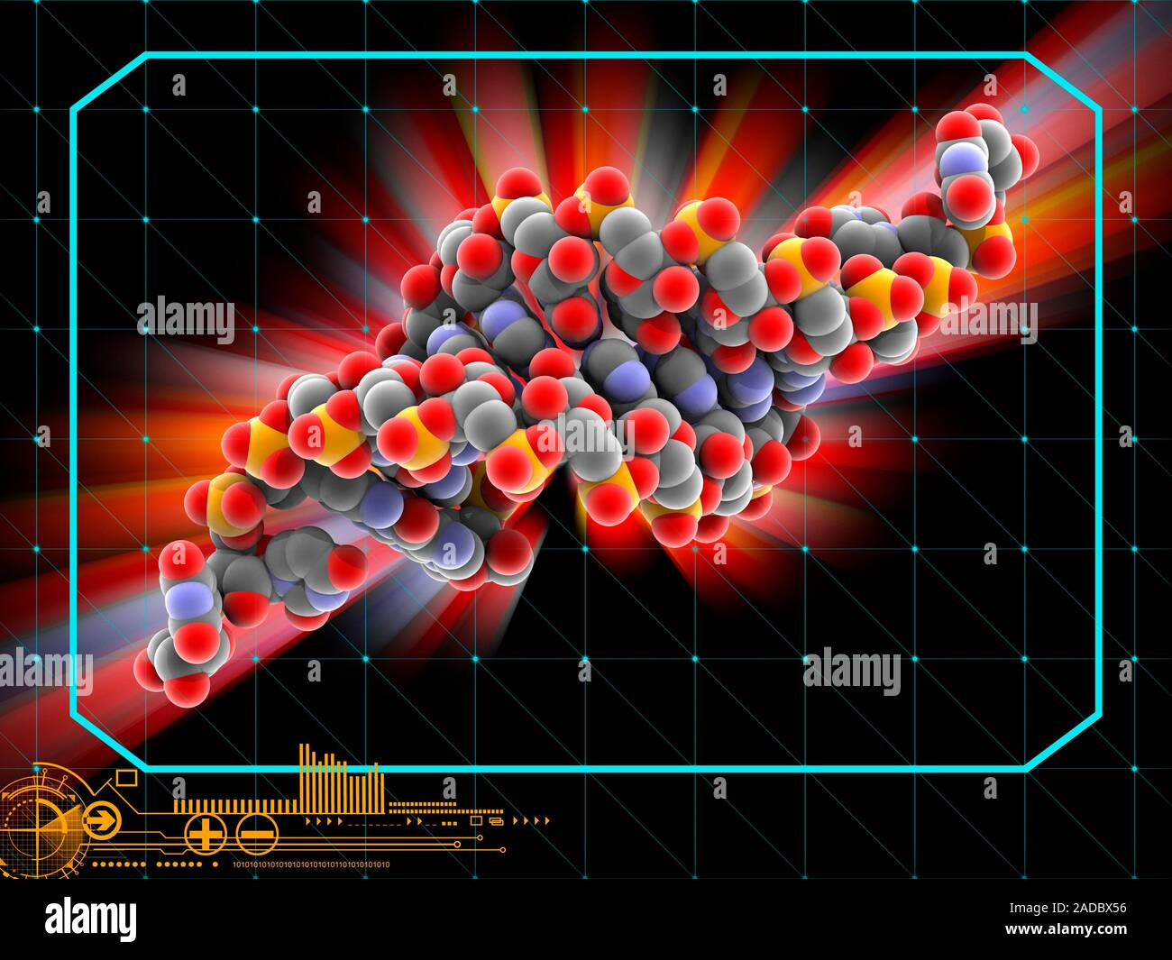 Molecular model of a human silencing RNA (ribonucleic acid) from an ...