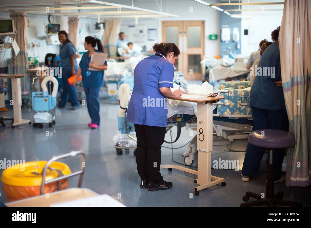 Hospital ward. Medical staff at work on a hospital ward Stock Photo - Alamy