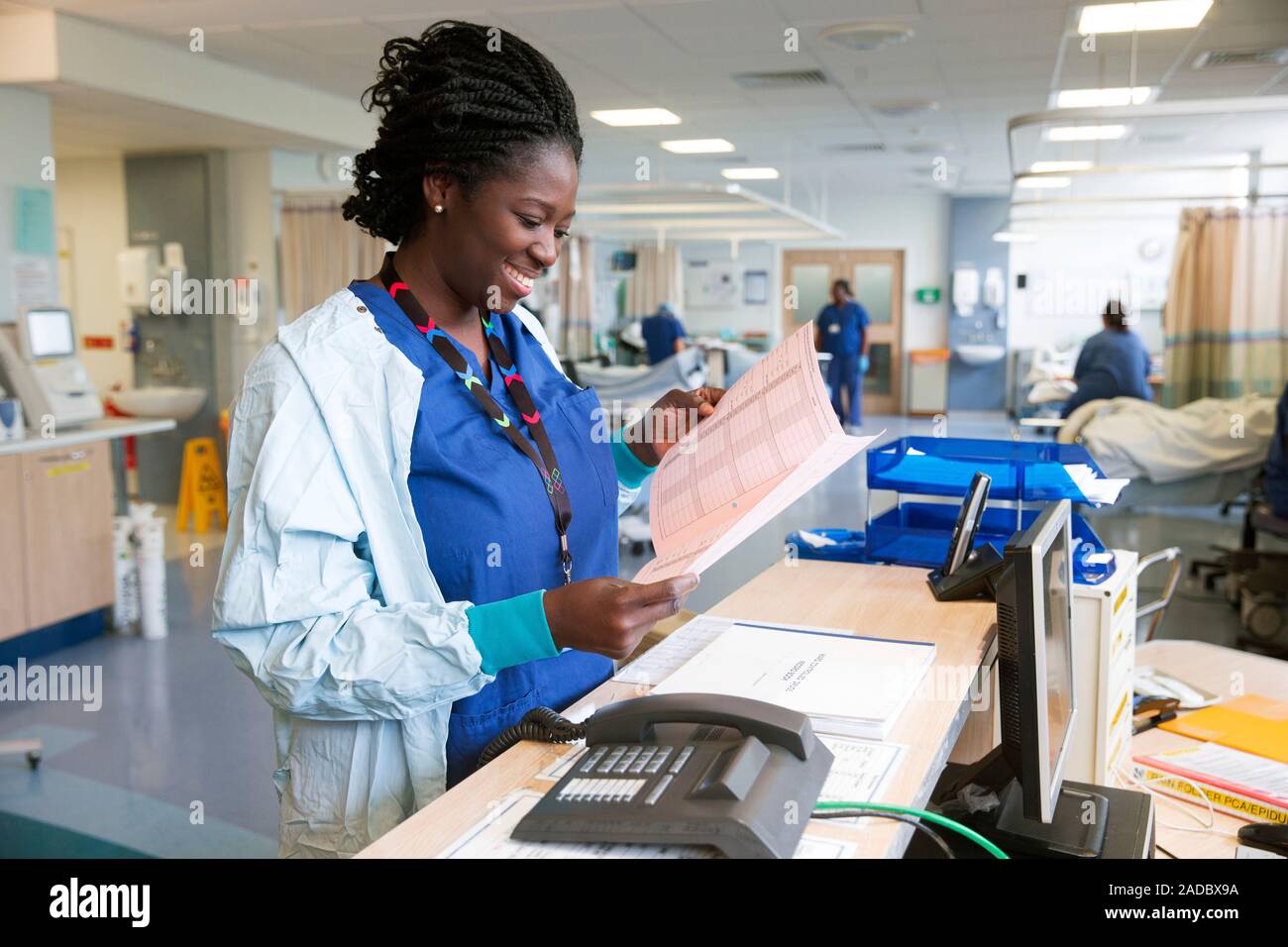 Doctor at work. Doctor checking a patient's notes on a hospital ward ...