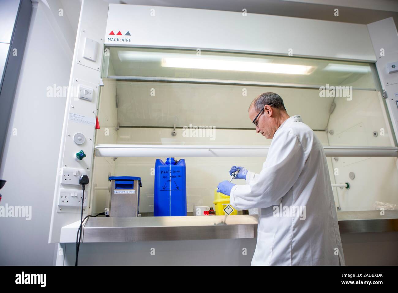 Pipetting protein samples. Researcher using a pipette while handling ...