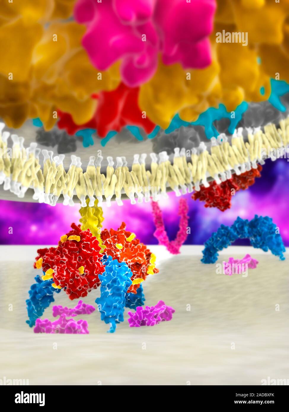 HIV virus recognition by T cell. Molecular model showing the binding of a gp120 glycoprotein ...