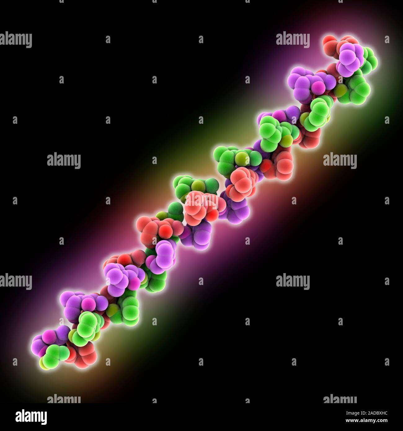 Collagen-like peptide molecule. Computer model showing the triple ...