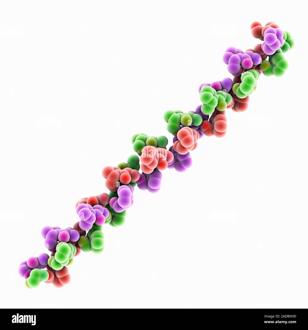 Collagen-like peptide molecule. Computer model showing the triple ...