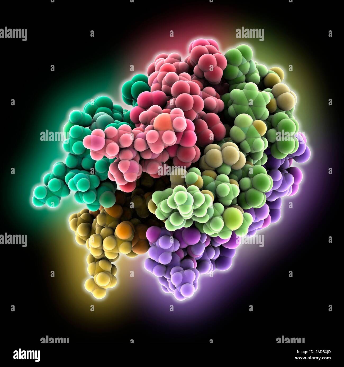 Acetylcholine receptor segment. Computer model showing the pentameric ...