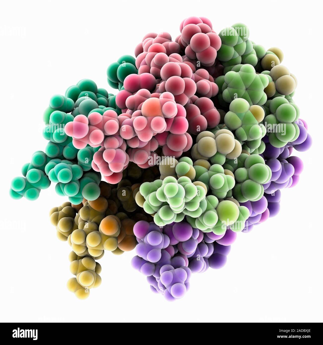 Acetylcholine receptor segment. Computer model showing the pentameric ...
