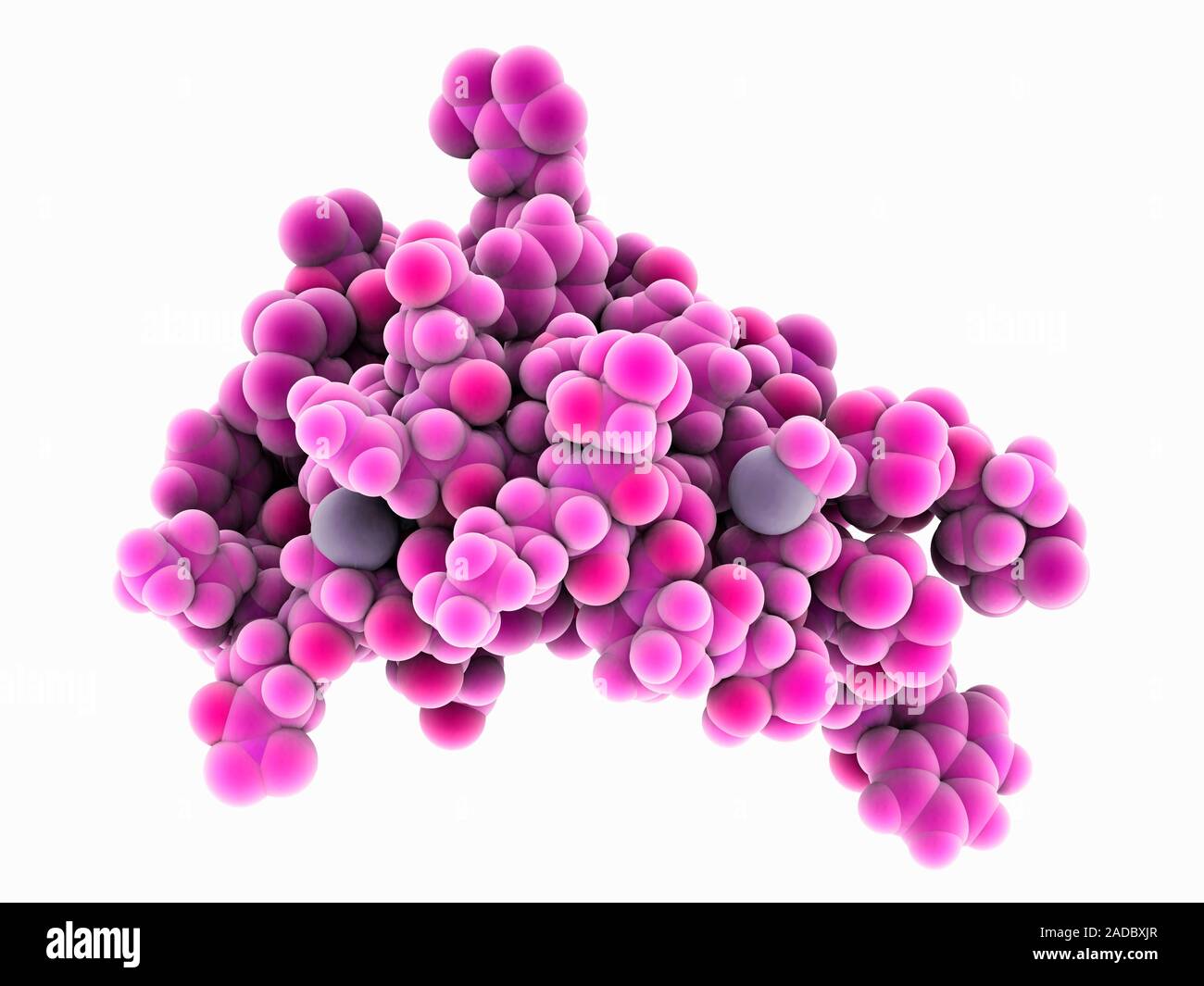 Raf-1 cysteine-rich domain molecule. Computer model showing the ...