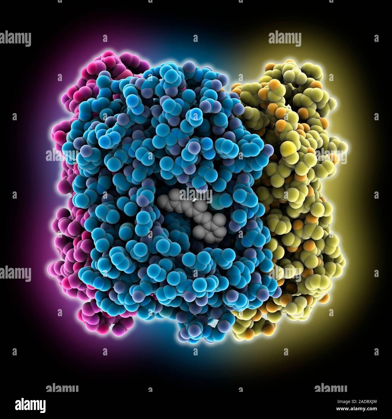 Bacteriorhodopsin Molecule Computer Model Showing The Structure Of Bacteriorhodopsin Made Up Of