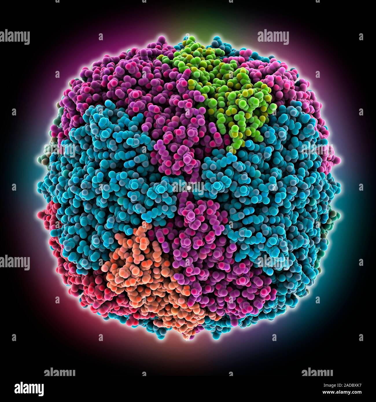 Human H ferritin molecule. Computer model showing the structure of ...