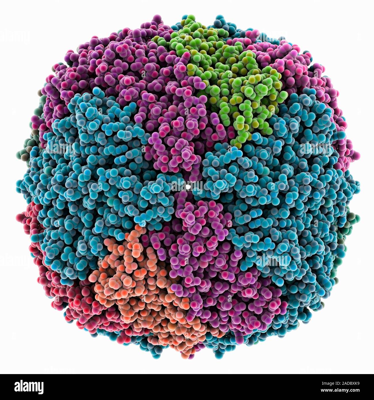 Human H ferritin molecule. Computer model showing the structure of ...