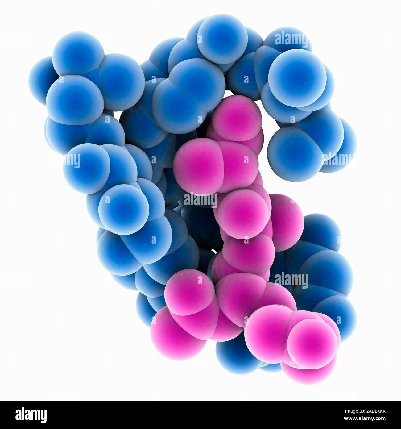 Vancomycin molecule complexed with bacterial peptidoglycan. Computer ...