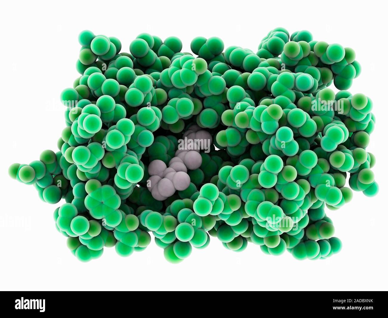 Sensory Rhodopsin Ii Molecule Computer Model Showing The Structure Of Bacterial Sensory