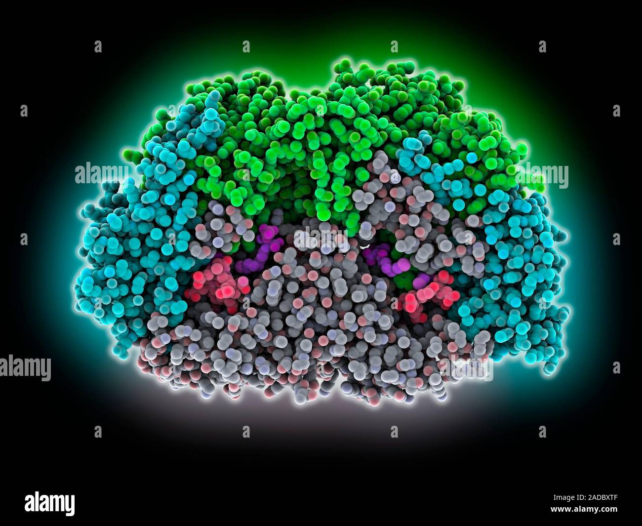 Methyl-coenzyme M reductase molecule. Computer model showing the ...