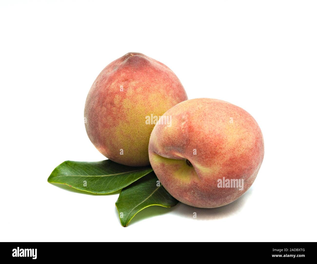 Two peaches isolated on white background Stock Photo - Alamy