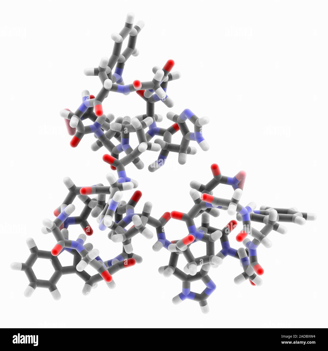 Human major prion protein molecule. Computer model showing the ... Human major prion protein molecule. Computer model showing the ...