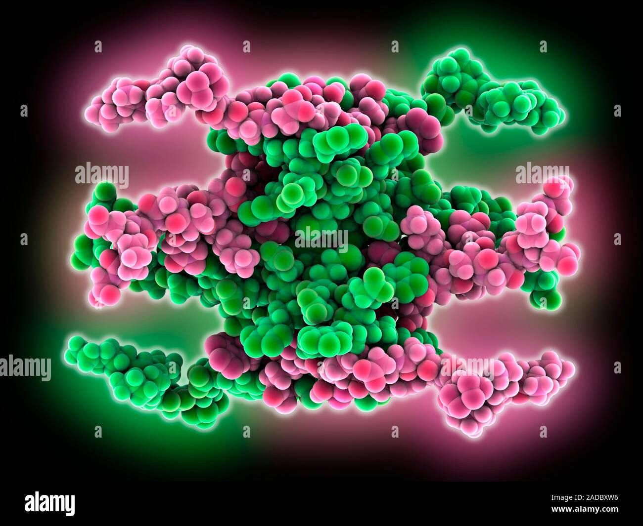 Tumour Suppressor P53 Molecule Computer Model Showing The Structure Of P53 Tumour Suppressor