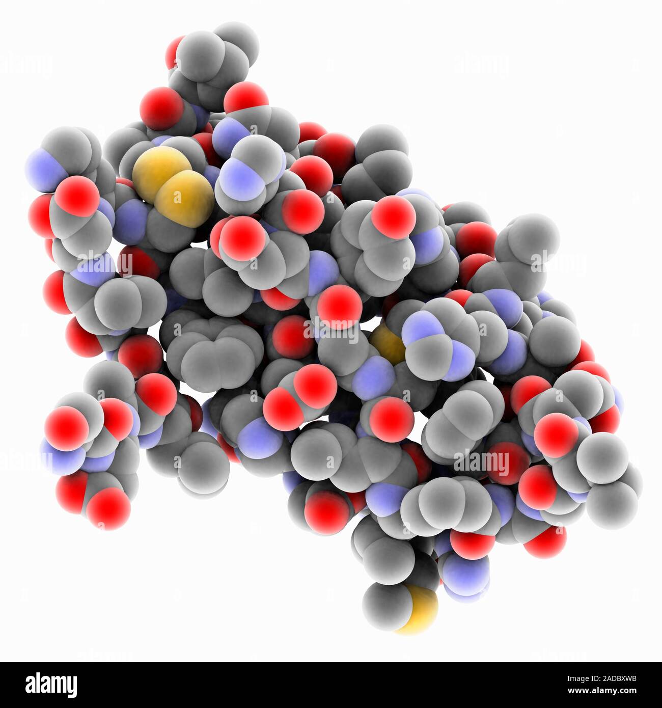 Amyloid Beta Precursor Protein Fragment Computer Model Showing The