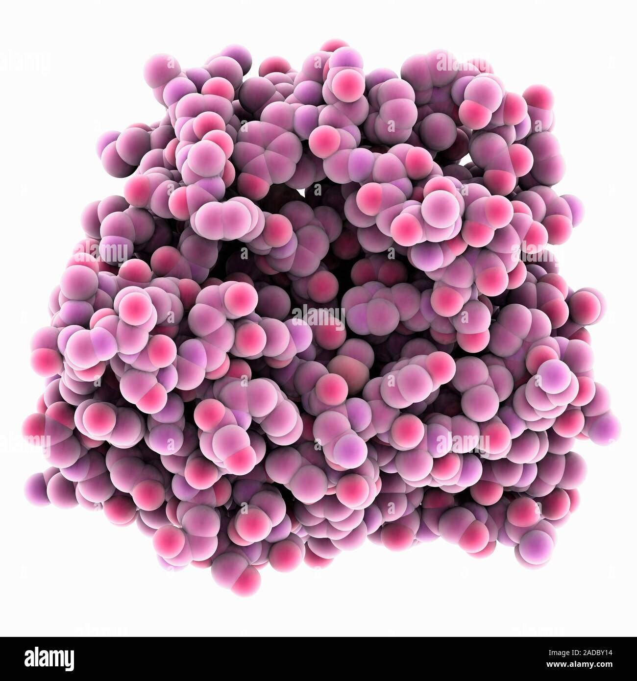 Subtilisin BPN molecule. Computer model showing the structure of the ...