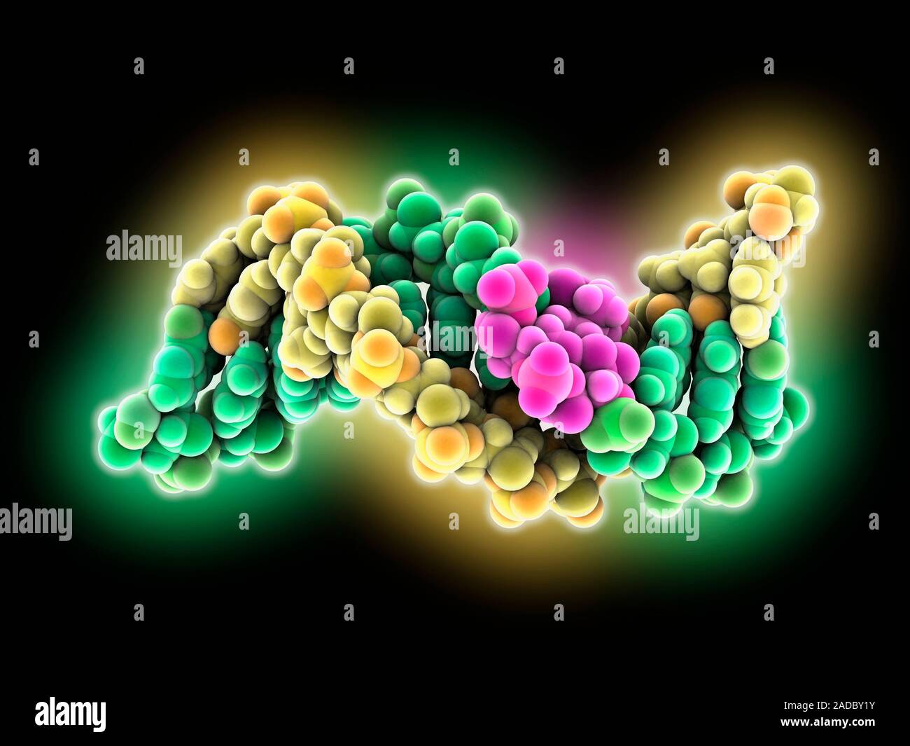 DNA (deoxyribonucleic acid) with UV-light induced changes. Computer ...