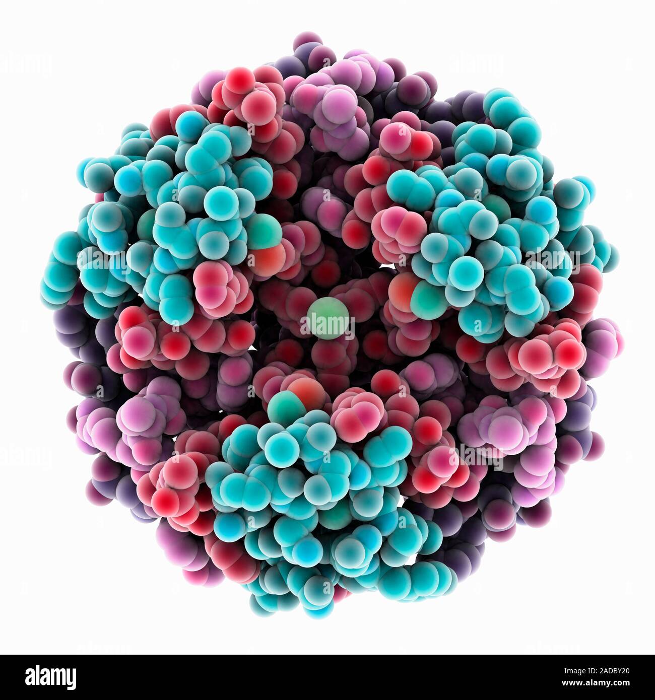Insulin molecule. Computer model showing the structure of the hormone ...