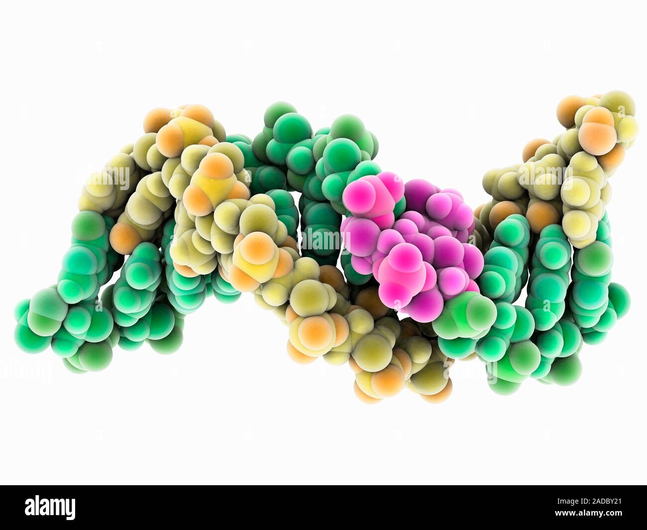 DNA (deoxyribonucleic acid) with UV-light induced changes. Computer ...