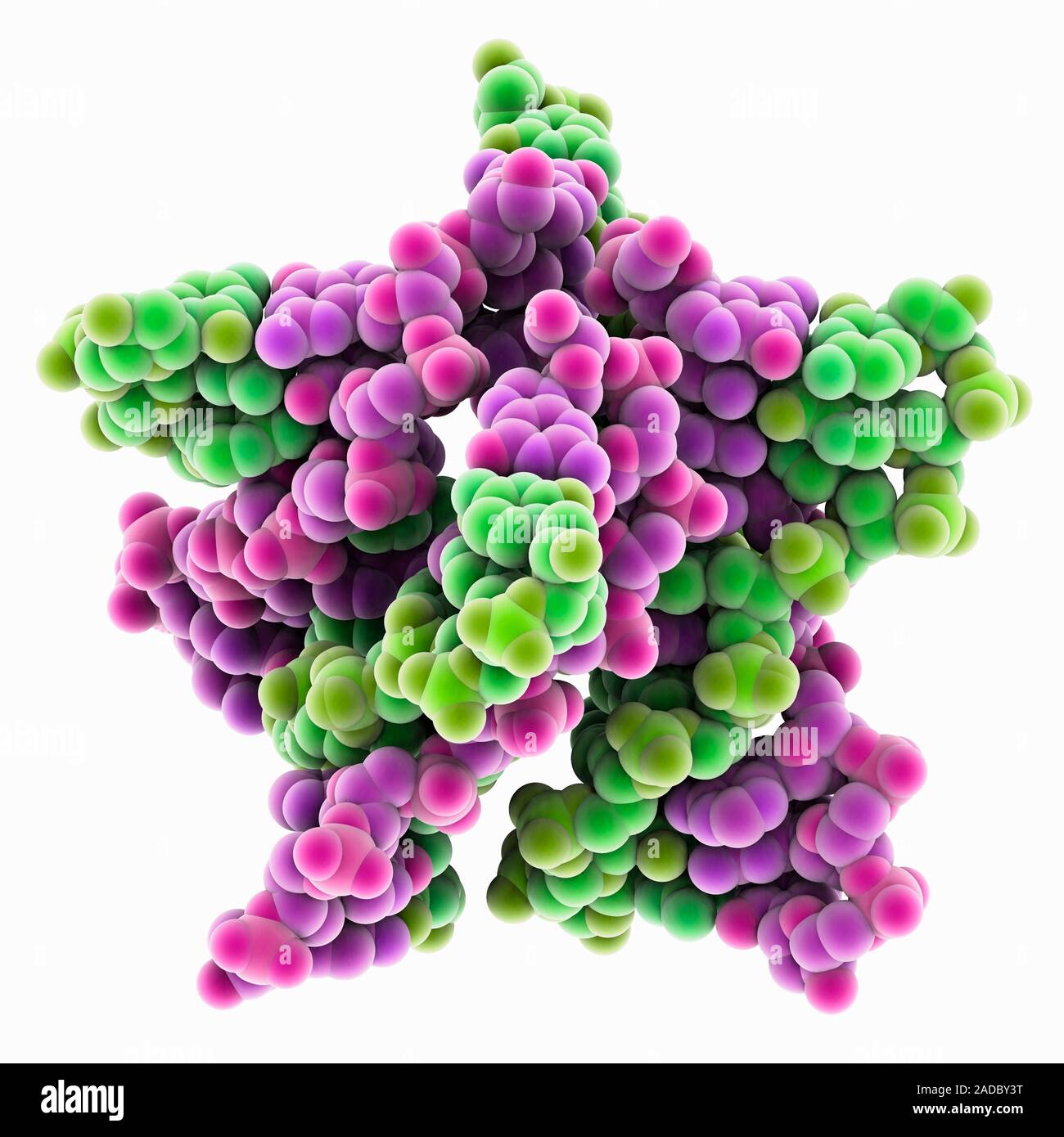 DNA octaplex formation. Computer model showing the structure of a DNA ...
