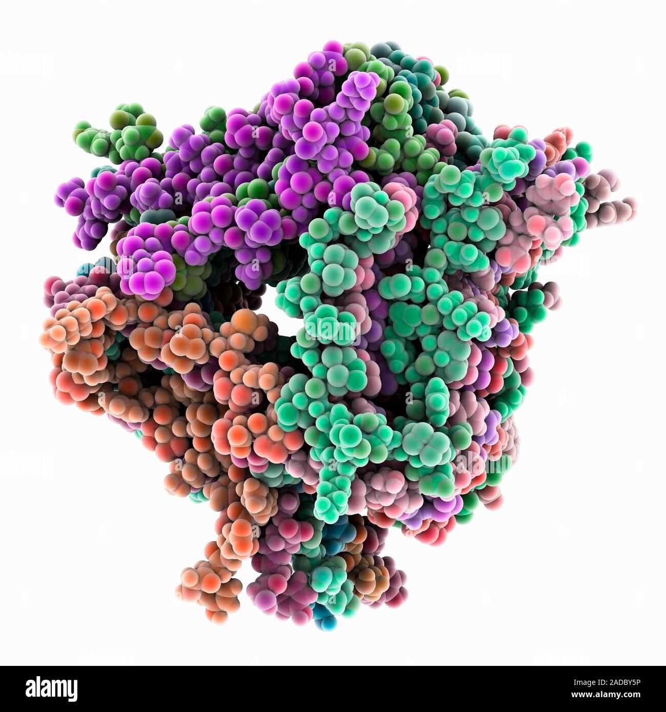Human beta-amyloid fibril molecule. Computer model showing the ...