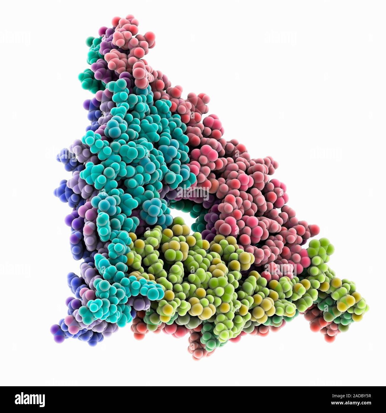 Amyloid fibril molecule. Computer model showing the structure of an ...